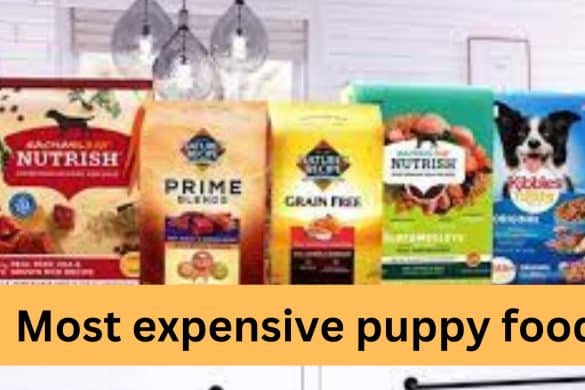 Greater Good Click to Feed Animals: Make a Difference Today | Most ...